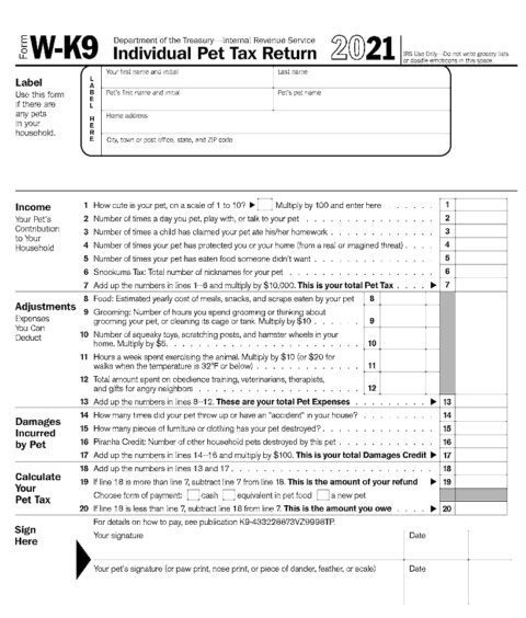 W-K9 Pet Tax Return 2021 - Bark Avenue Daycamp